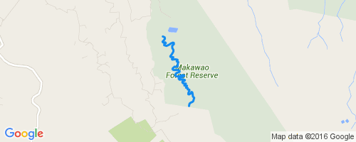 Kahakapao East Loop Trail Mountain Biking Trail - Makawao