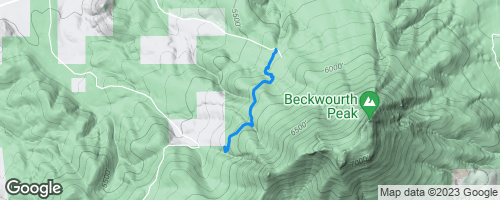 Beckwourth Peak Trail Section 2 Mountain Biking Trail - Portola