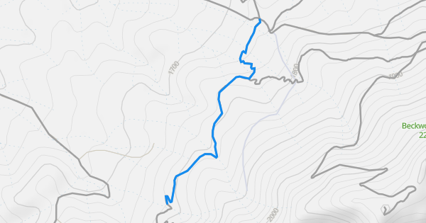 Beckwourth Peak Trail Section 2 Mountain Biking Trail - Portola