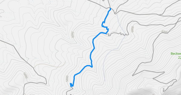Beckwourth Peak Trail Section 2 Mountain Biking Trail - Portola