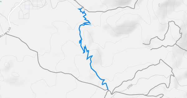 Beckwourth Peak Trail Lower Section Mountain Biking Trail - Portola