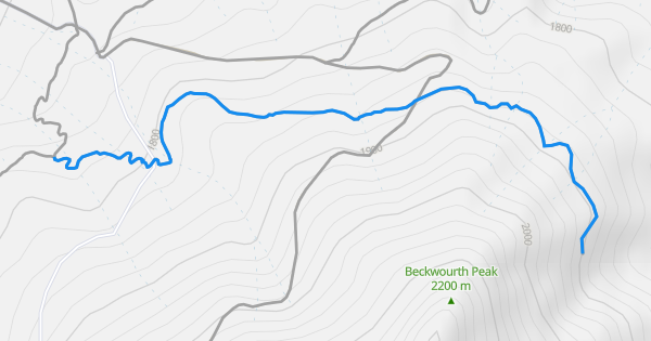Beckwourth Peak Trail Section 4 Mountain Biking Trail - Portola