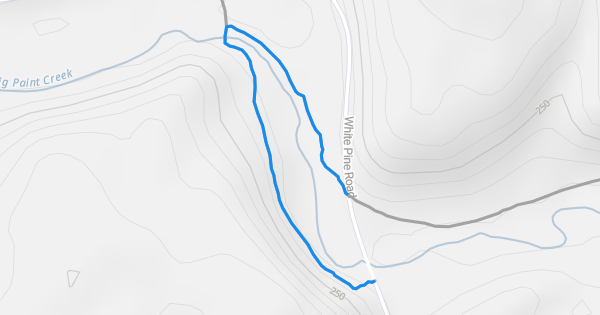 Nelson Bridge Loop Trail Multi Trail - Harpers Ferry