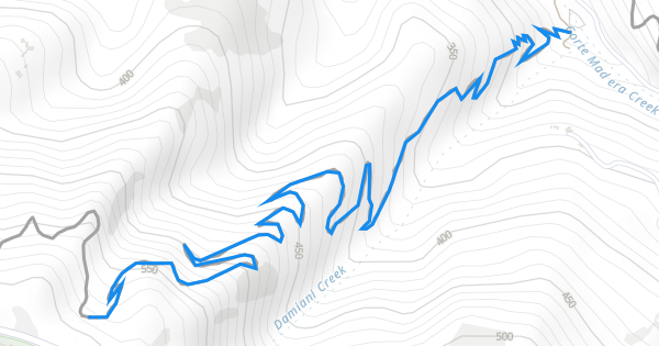 Razorback Ridge Trail Hiking Trail - Portola Valley