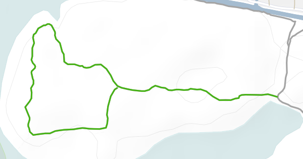 Jabiru Circuit Mountain Biking Trail - Gold Coast