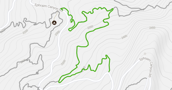 Templar Trail Mountain Biking Trail - Ephraim, UT