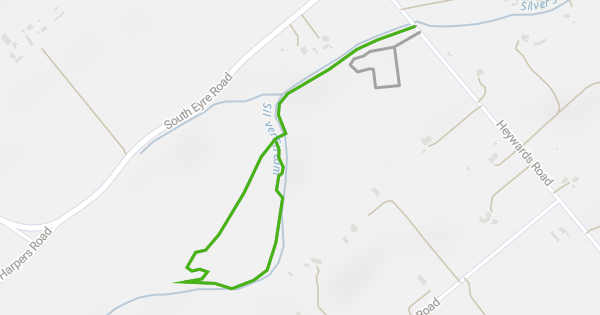 Silverstream Reserve Lower Fern Loop Hiking Trail