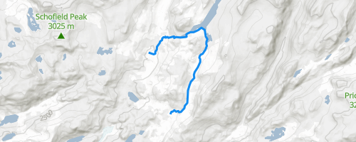 Tilden Trail Hiking Trail - Yosemite, CA | Trailforks