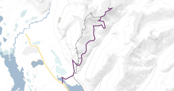 Morfee Mountain Road Multi Trail - Mackenzie, BC