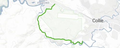 Kylie Trail Mountain Biking Trail - Westralia, Collie