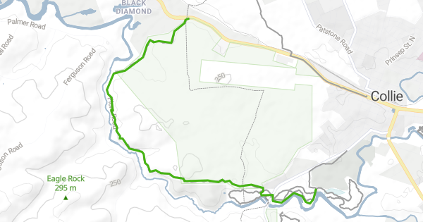 Kylie Trail Mountain Biking Trail - Westralia, Collie