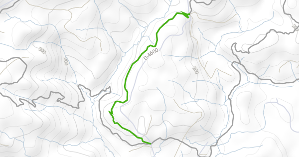 Lower MnM Mountain Biking Trail - Olympia, Washington