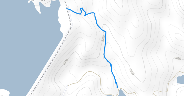 Nichols Trail Hiking Trail - Woodland Park, Colorado