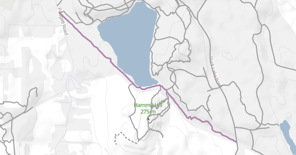 West Lake Power Line Multi Trail - Powell River, BC