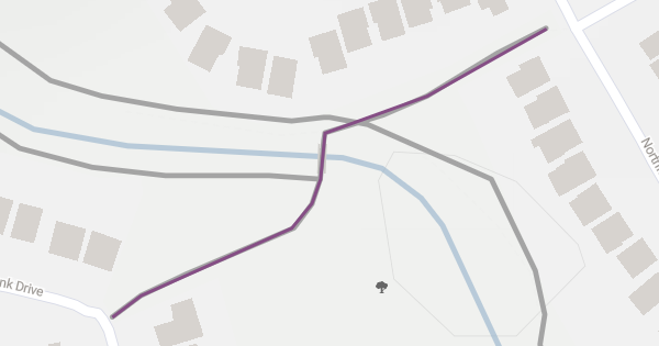 Curran Hall Ravine Park Multi Trail - Scarborough, ON