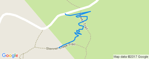 Flying Ewok-The Eucs Mountain Biking Trail - San Luis Obispo