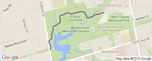 G. Lord Ross Park Mountain Biking Trail - Toronto, ON