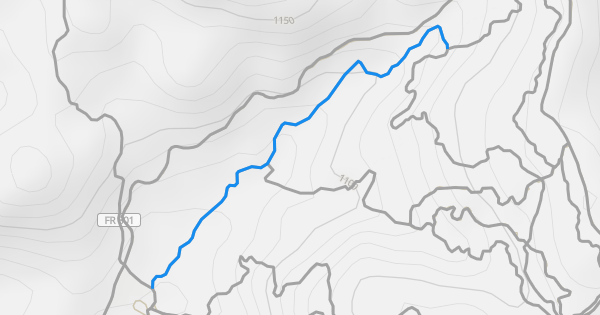 Corral Canyon Trail Mountain Biking Trail - Campo, CA