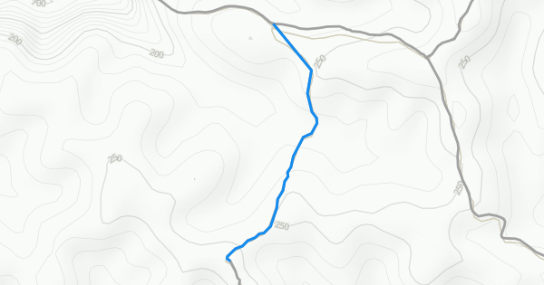 Harkerville Dive Bomber Mountain Biking Trail - Knysna