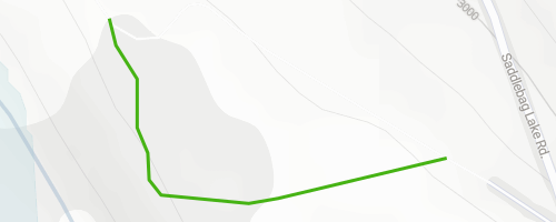 Sawmill Campground Loop Hiking Trail - Yosemite, CA