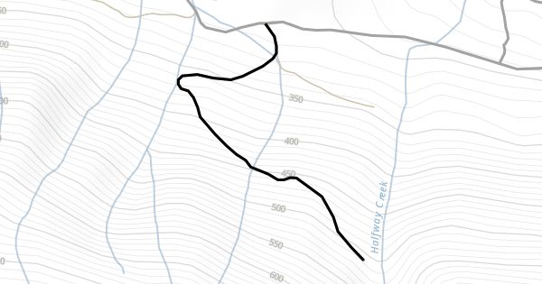 FSR Drift Mountain Biking Trail - Lake Cowichan, BC