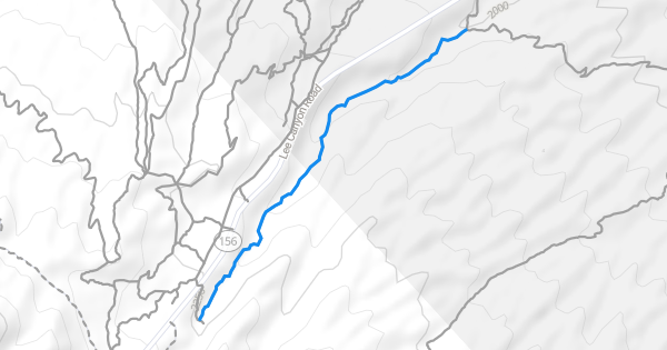 Lee Canyon Trail Multi Trail - Las Vegas, NV