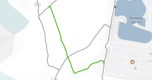 Goanna Maintenance Track Mountain Biking Trail - Gold Coast