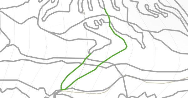 Big Easy - 4WD connector Mountain Biking Trail - Dunedin