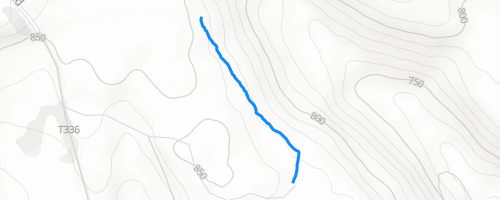 LHHT Grindle Shelter Trail Hiking Trail - Jones Mills, PA