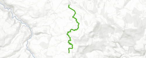 Cedar Tree Dirtbiking Trail - Tillamook, Oregon