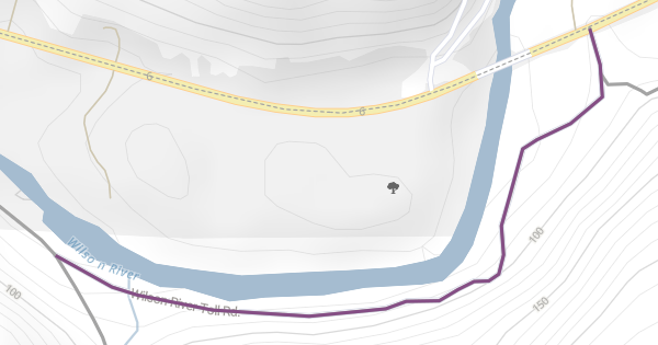 Wilson River Toll Road Multi Trail - Tillamook, Oregon
