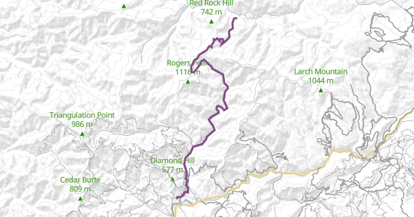 North Fork Wilson River Road Multi Trail - Tillamook