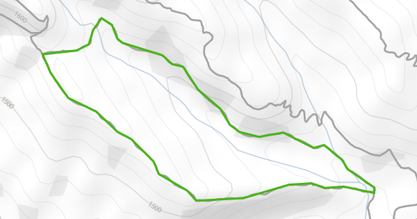Fullerton Loop Hiking Trail - Bragg Creek, Alberta