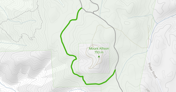 Allison Loop Multi Trail - Pleasanton, California