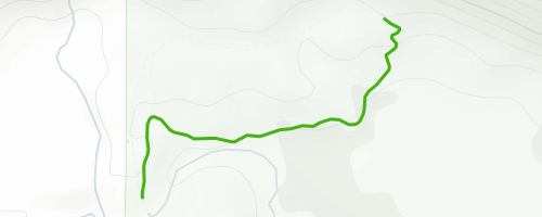Carpenter Valley Loop Trail Multi Trail - Truckee, CA