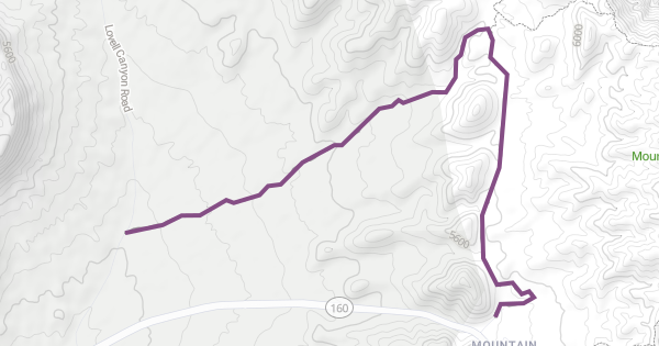 Bootleg Spring Road Multi Trail - Las Vegas, NV