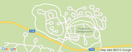 Chignecto Campground Loop Mountain Biking Trail - Alma