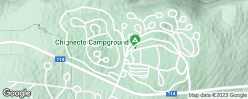 Chignecto Campground Loop Mountain Biking Trail - Alma