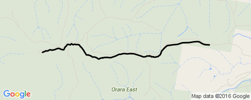 Downhill Mt Coramba Mountain Biking Trail - Coffs Harbour