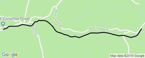 Downhill Mt Coramba Mountain Biking Trail - Coffs Harbour