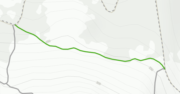 Coulter Pine Trail Hiking Trail - Danville, California