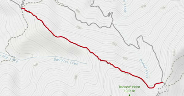 Bald Ridge Trail Hiking Trail - Danville, California