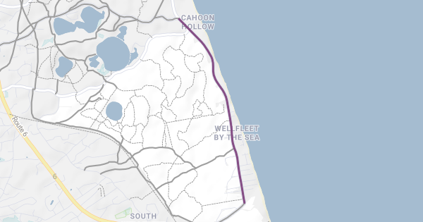 ECG - Oceanview Drive Multi Trail - Wellfleet, MA