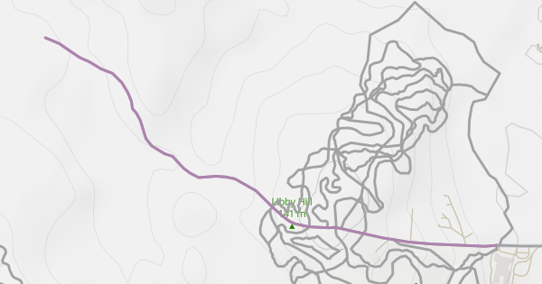 Old Libby Hill Road Multi Trail - Gray, Maine
