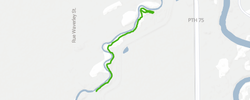 Camp Amisk Trail Mountain Biking Trail - Winnipeg, MB