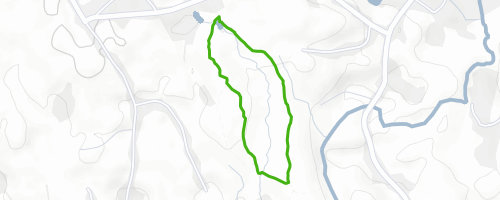 Bushy Hill Blue Loop Trail Hiking Trail - Essex, CT