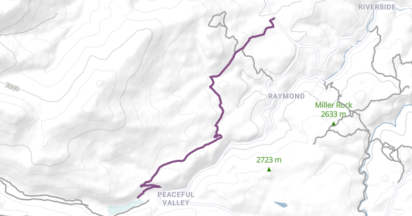 Bunce School Road Multi Trail - Allenspark, CO