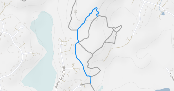 Upper Ledge Trail West Multi Trail - Old Saybrook, CT