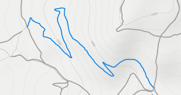 Odyssey Trail Multi Trail - Carson City, Nevada