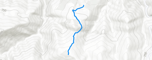 Orobiko Larrea Multi Trail - Basaburua, Lekunberri